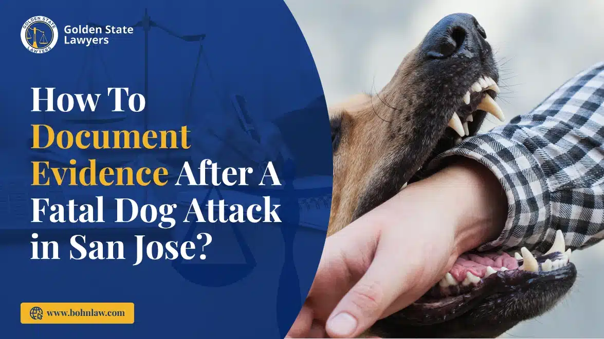 How to Document Evidence After a Fatal Dog Attack in San Jose?